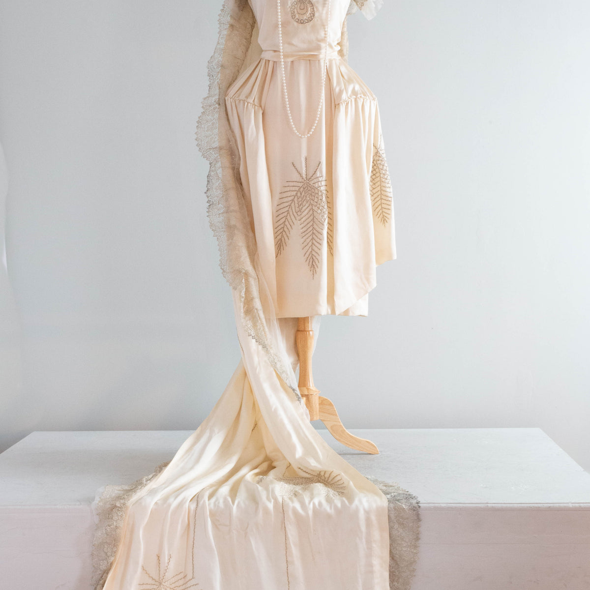 *Museum Worthy 1919 Shanghai Court Presentation Robe De Style Dress Wi ...
